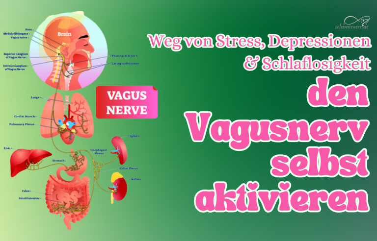 Vagusnerv - so stimulierst du ihn und damit deine Gesundheit - solebenswert