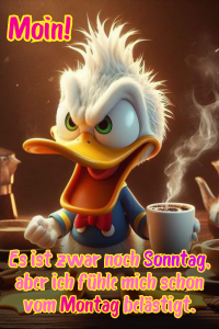 Witzig Sonntag Lustige Gif