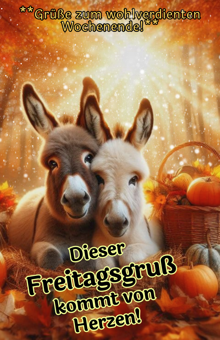 NEU 50 lustige Freitags Grüße als Bild zum Versenden für dich! Guten ...